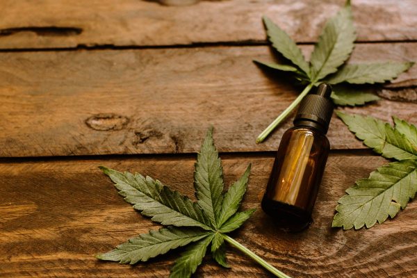 ProcessPro ERP Releases New Cultivation Management System - Terpenes ...